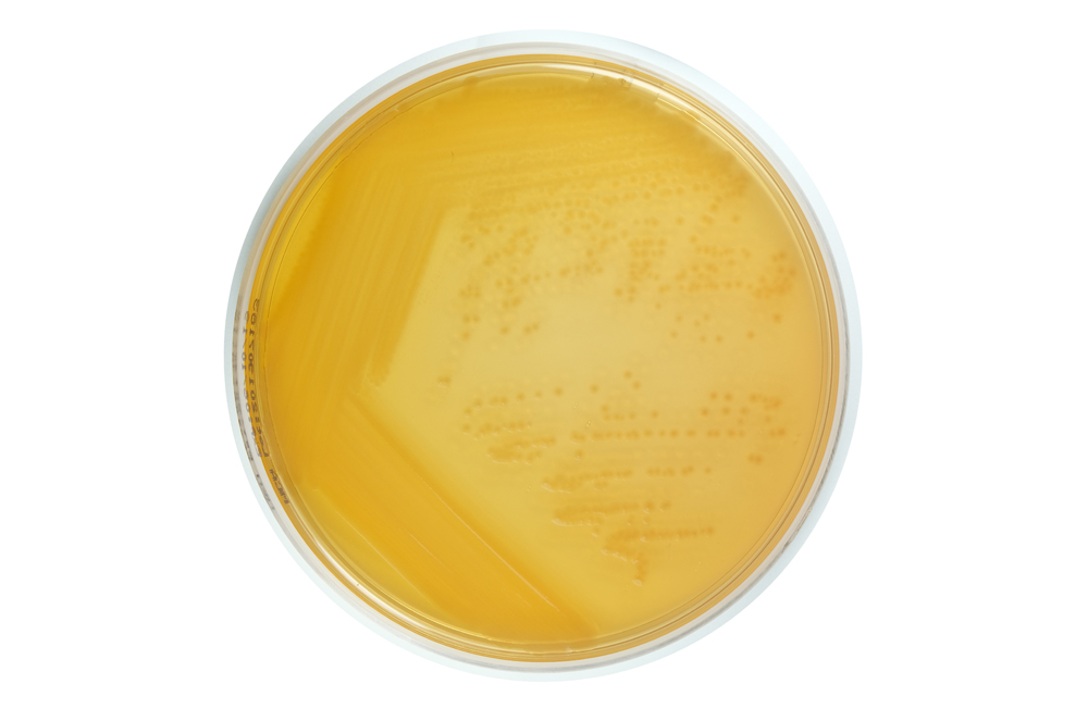 MELAB MacConkey Agar